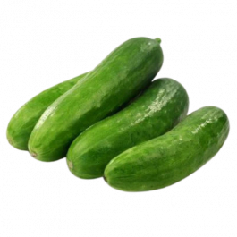Khira (Cucumber)